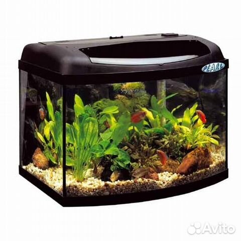 Новый аквариум Aquael Pearl 40