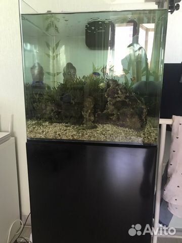 Морской аквариум