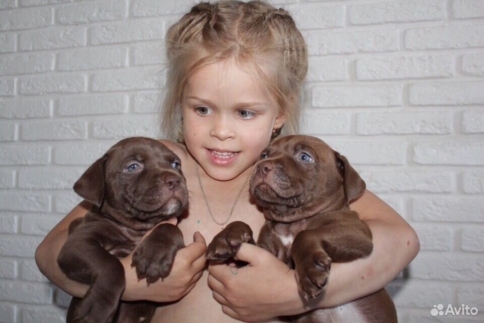 Супер шоколадки