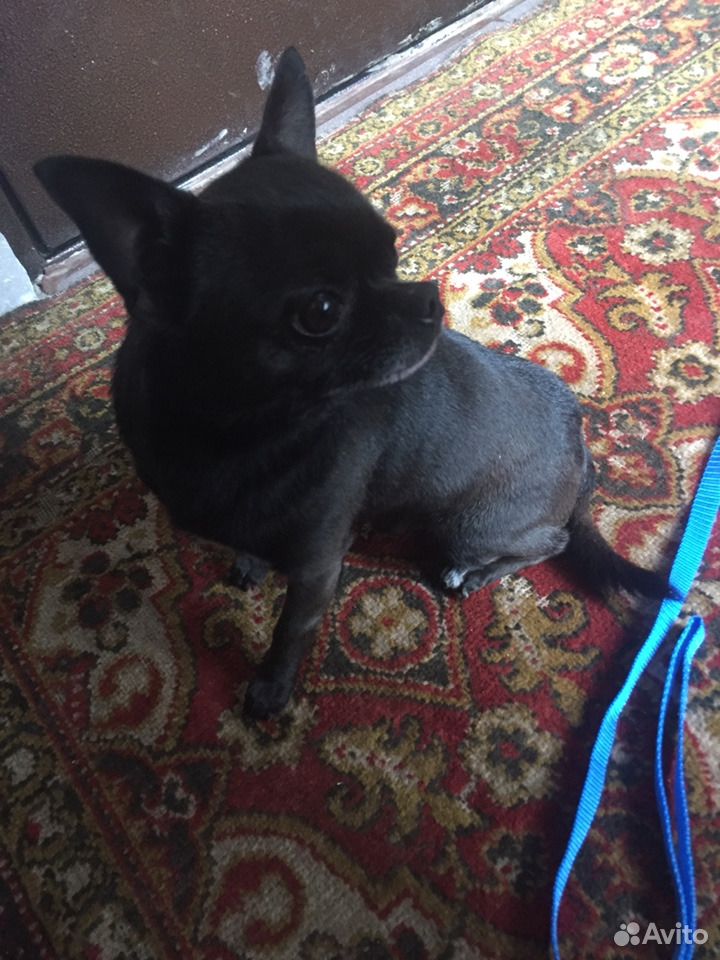 Ищем невесту