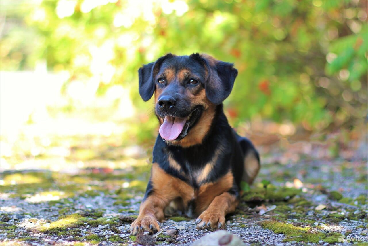 Эмма, 2 года, спортсменка и красавица