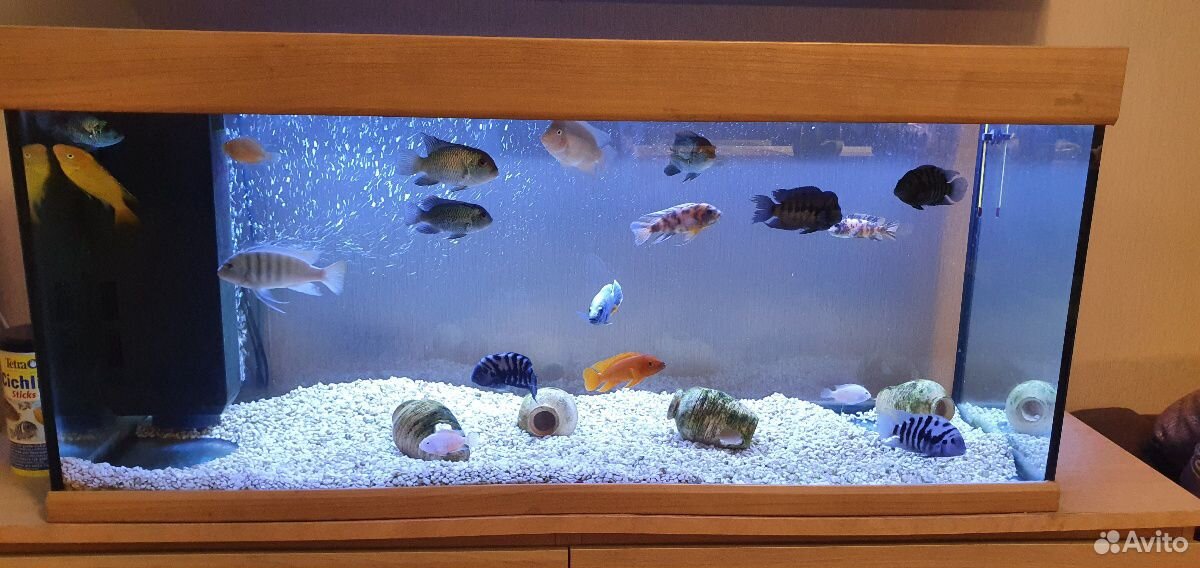 Аквариум Eheim 240 литров