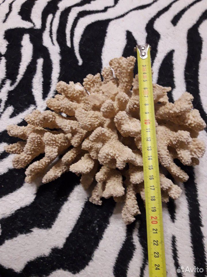 Натуральный коралл