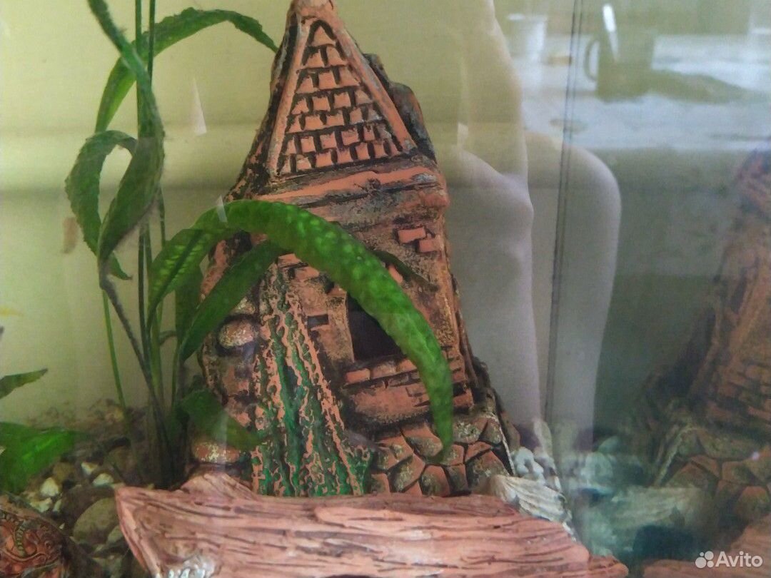 Домик в аквариум