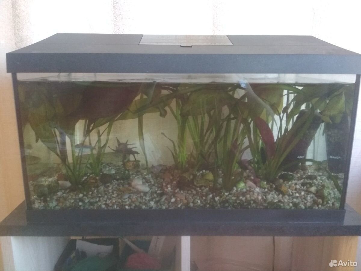 Аквариум 50 литров + рыбки + комплект