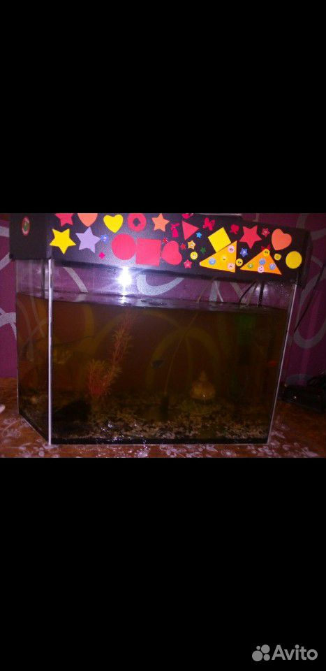 Аквариум