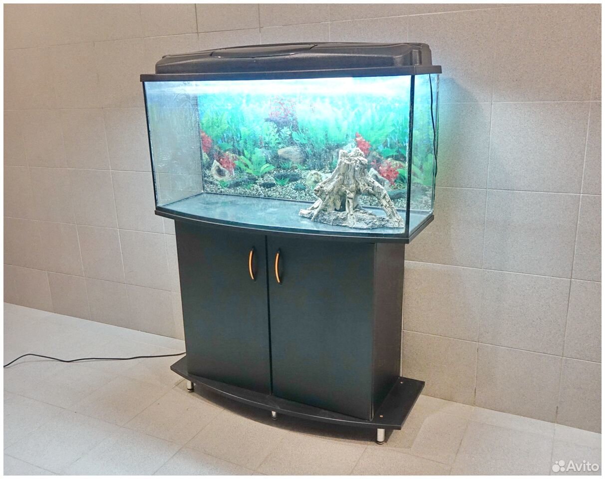 Аквариум с тумбой и аксессуарами (175 л) +++