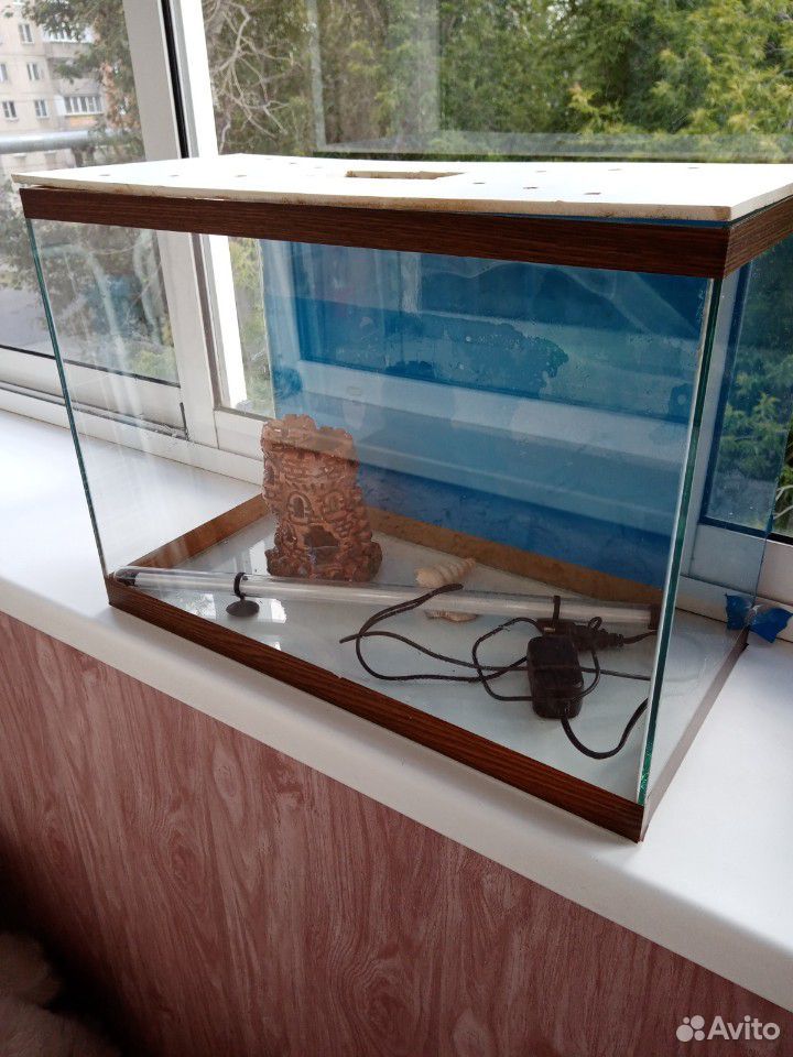Аквариум