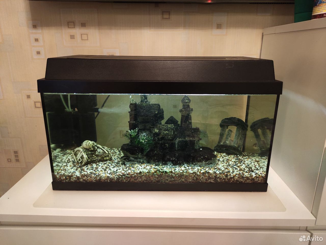 Аквариум Juwel Aquarium "Korallux 60"