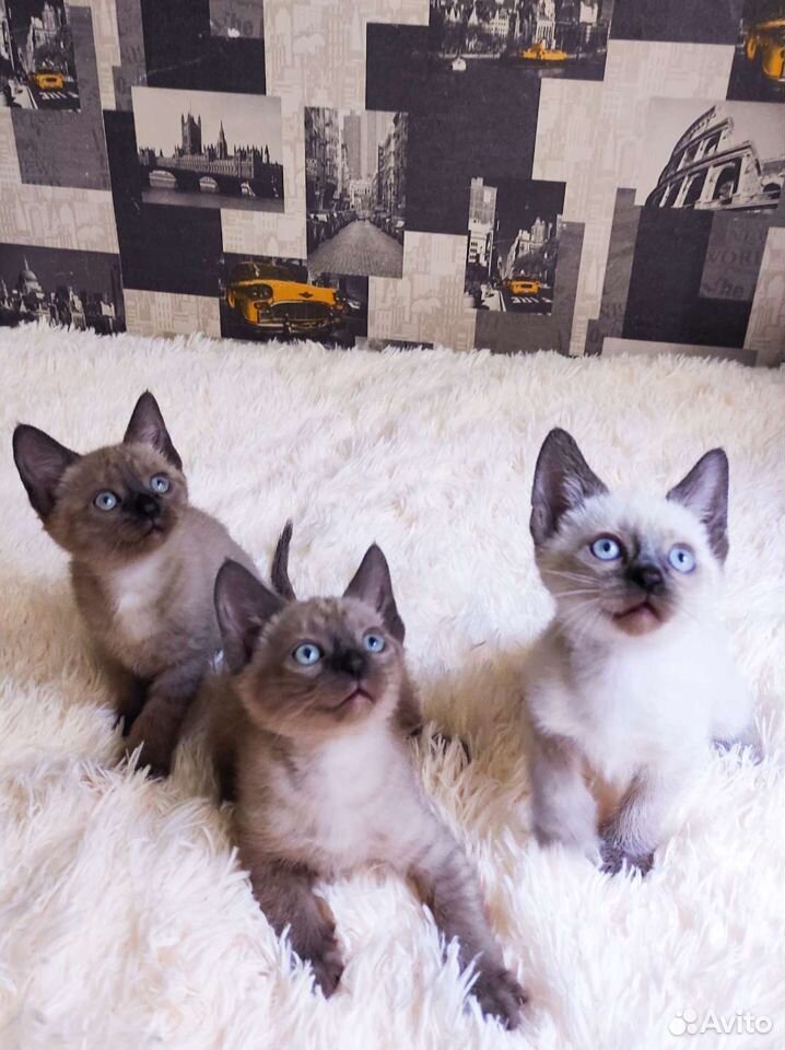 Тайская