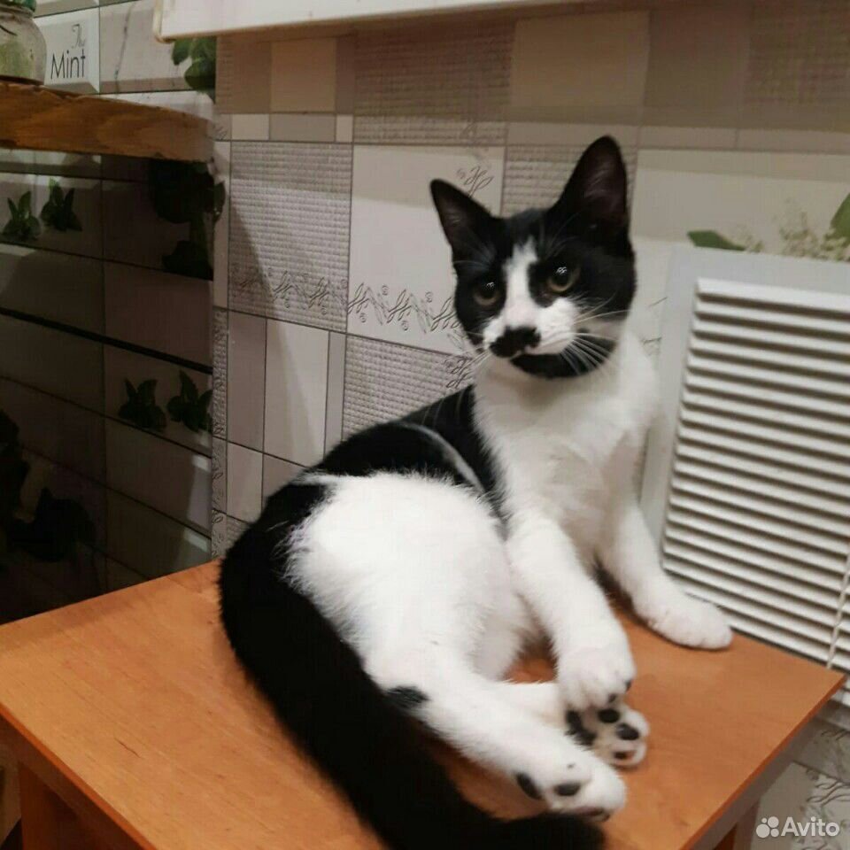 Девочка конфетка