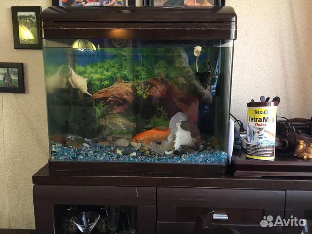 Аквариум