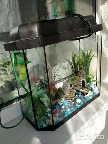 Аквариум