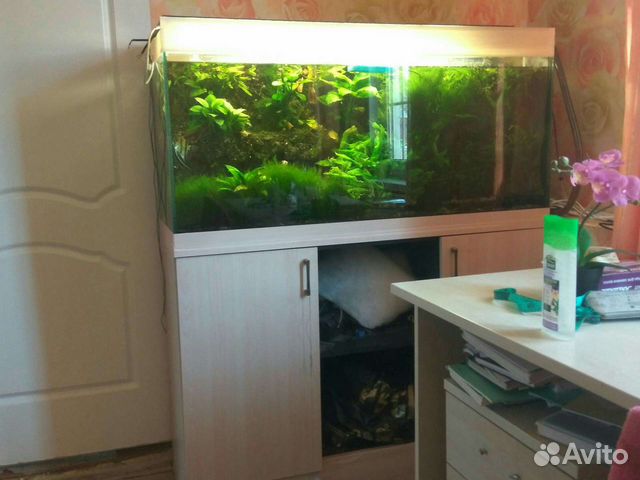 Аквариум