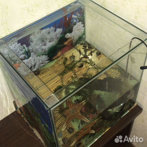 Аквариум полноценный на 100 литров