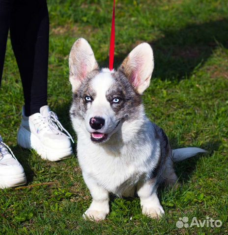 Мраморная девочка