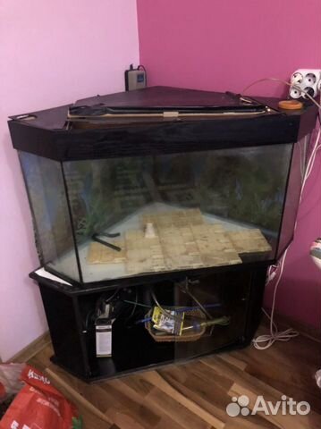 Аквариум бесплатно