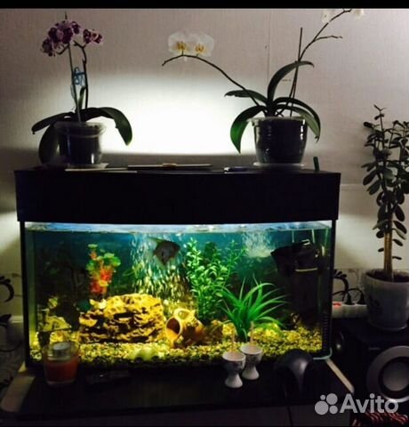 Аквариум