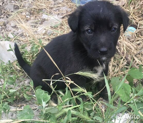 Крошки с ладошку в добрые ручки