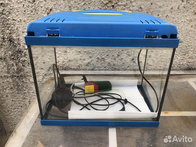 Аквариум aqua slut