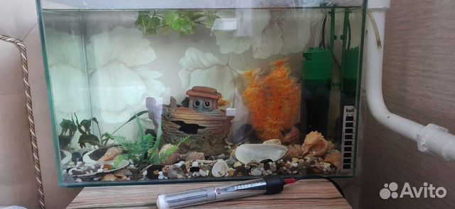 Аквариум