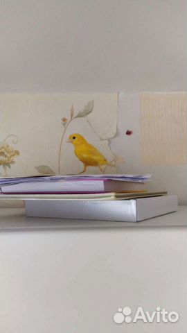 Кенар поющий