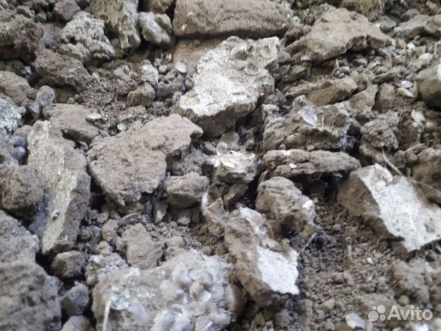 Грунт с яйцами живых культур для пруда и аквариума