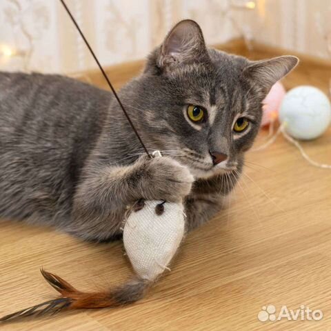 Моя любовь Грей