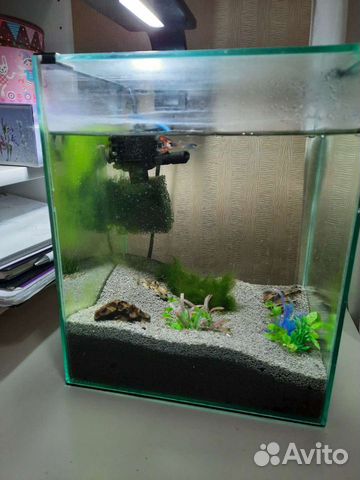 Аквариум