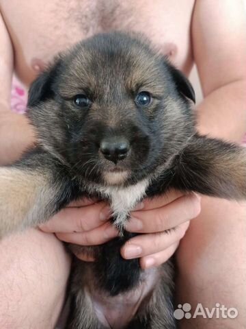 Самые красивые мальчик и девочка