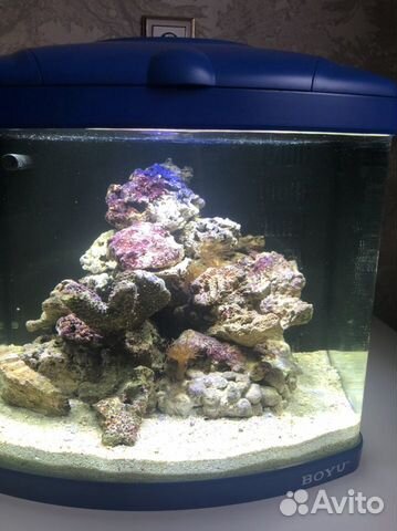 Морской аквариум