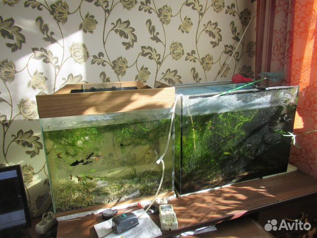 Распродаю аквариумное хозяйство