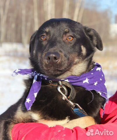 Подросток Багги ищет семью