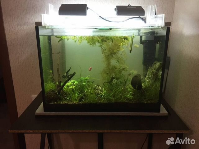 Аквариум 105 л + светодиодные прожектора