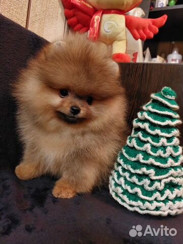 Мальчик мини