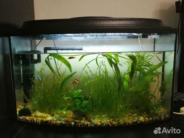 Аквариум полный комплект