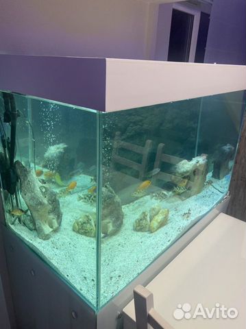Аквариум