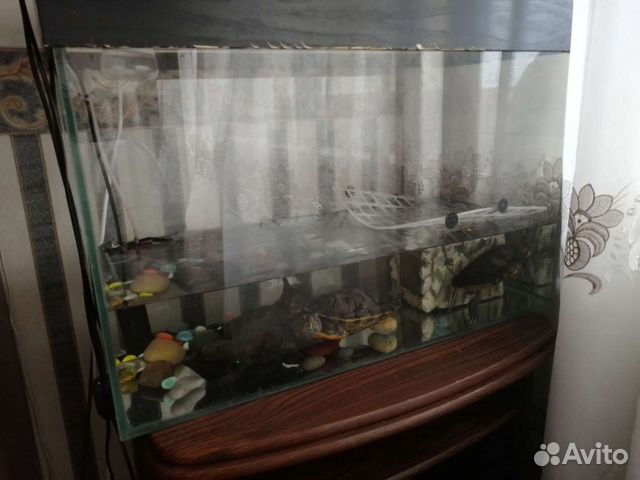 Отдам аквариум