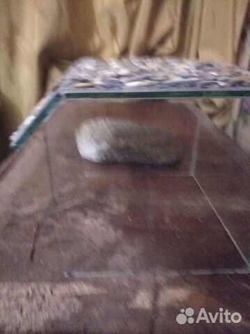 Мостик для черепахи