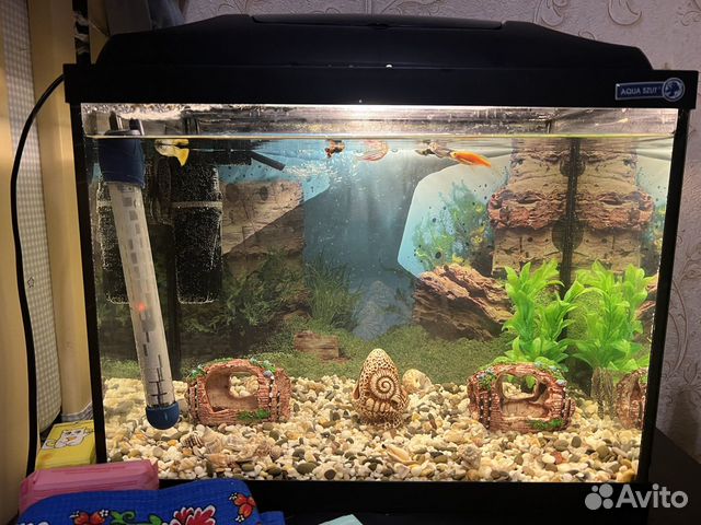 Аквариум