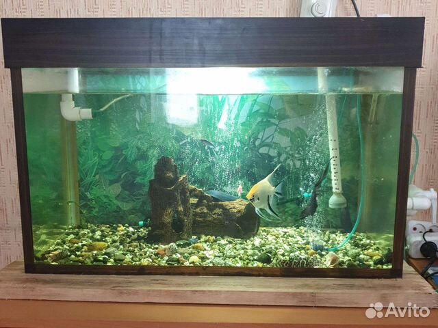 Аквариум с рыбками и оборудованием