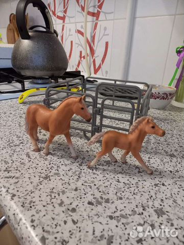 Лошади с загоном