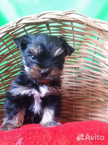 Серьёзный парень