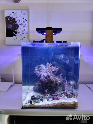 Морской аквариум 30 л