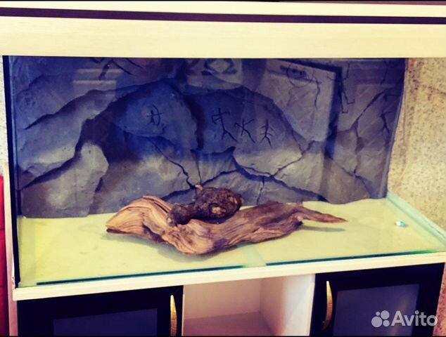 Аквариум с тумбой