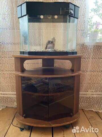 Аквариум с тумбой и дополнениями