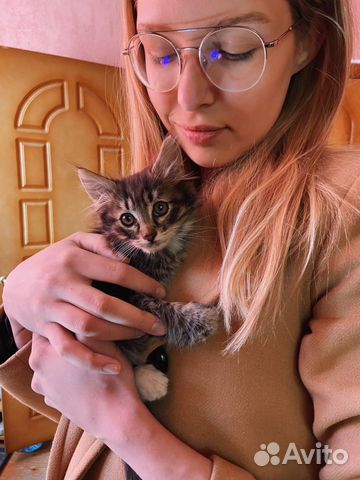 Лёлик бесстрашный