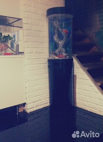 Аквариум цилиндр в Омске