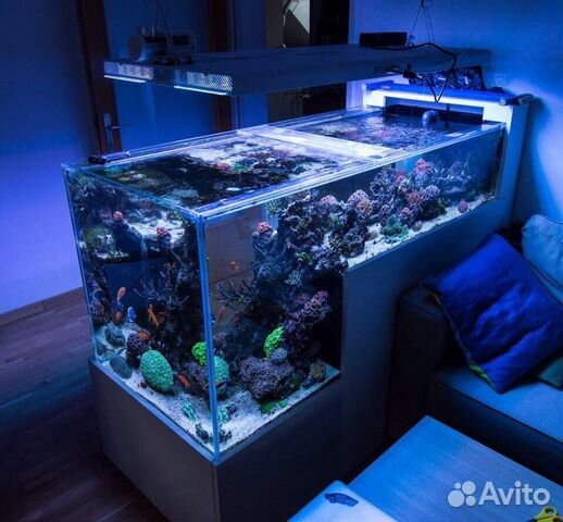 Морской аквариум