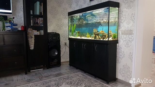 Аквариум